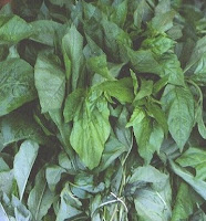 Surinaams eten!: Bitawiri met gedroogde garnalen of gedroogde vis