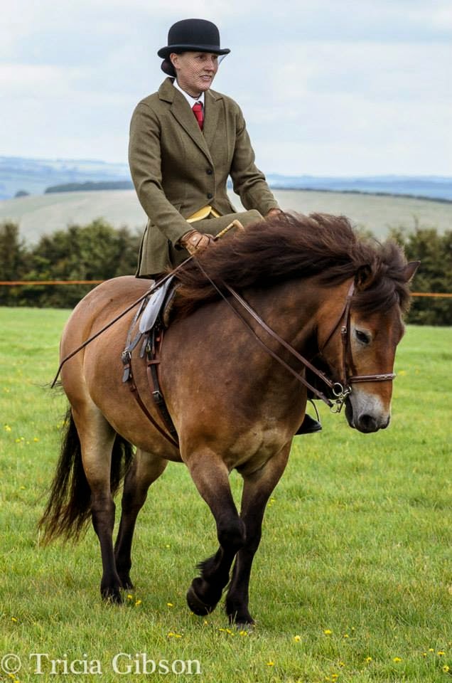 Leaning on the Gate....: M is For