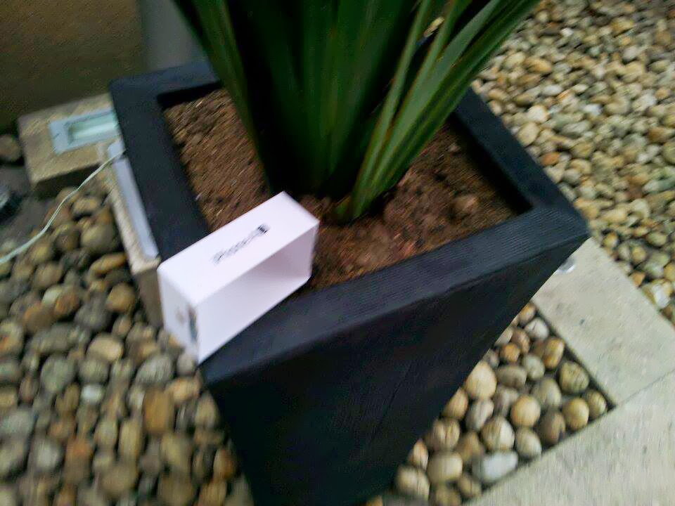 Volaré como libélula!