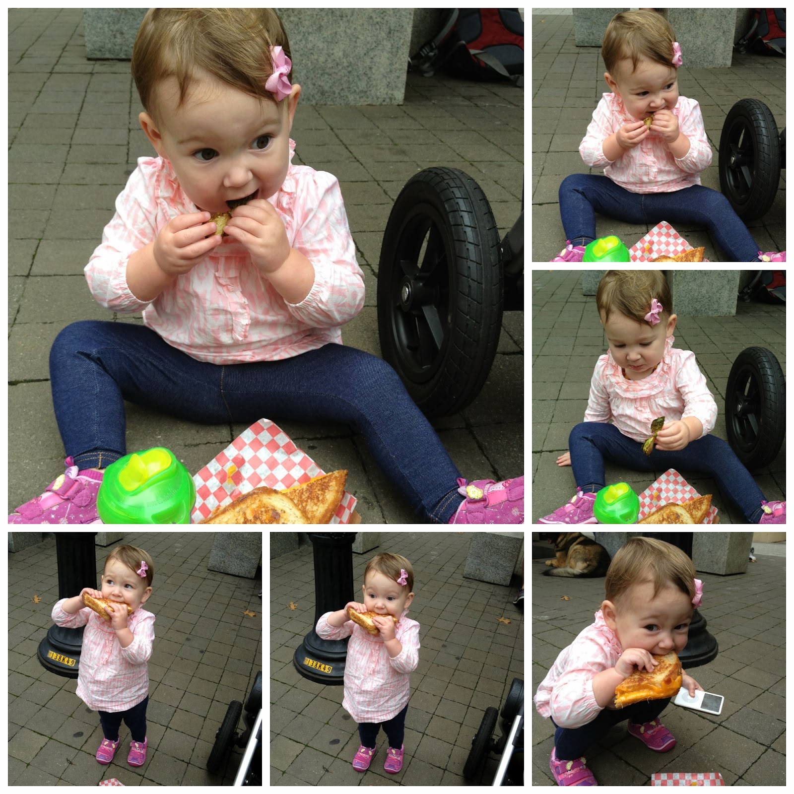 Baum Squad: The Baum Family Blog: Weekend Roundup