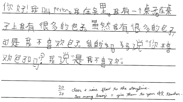 Ignite Language: Chinese 1 semester 2 exam essays