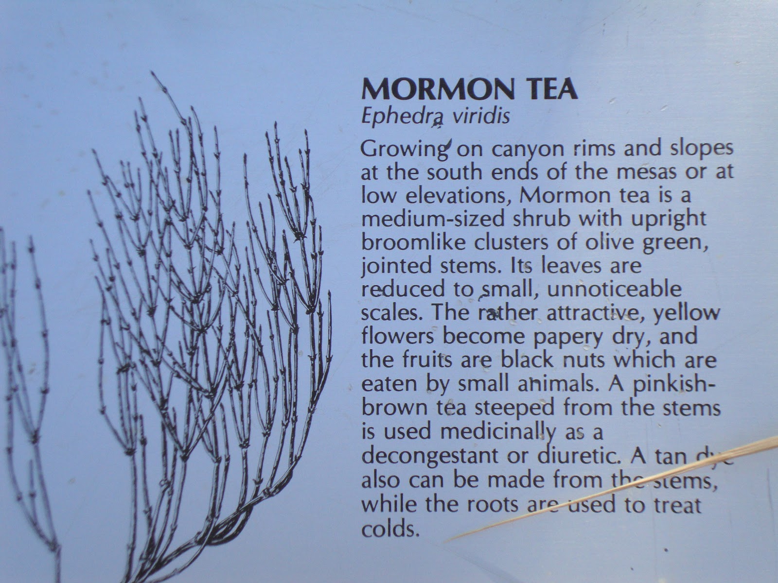 danger garden: Mesa Verde National Park, Colorado