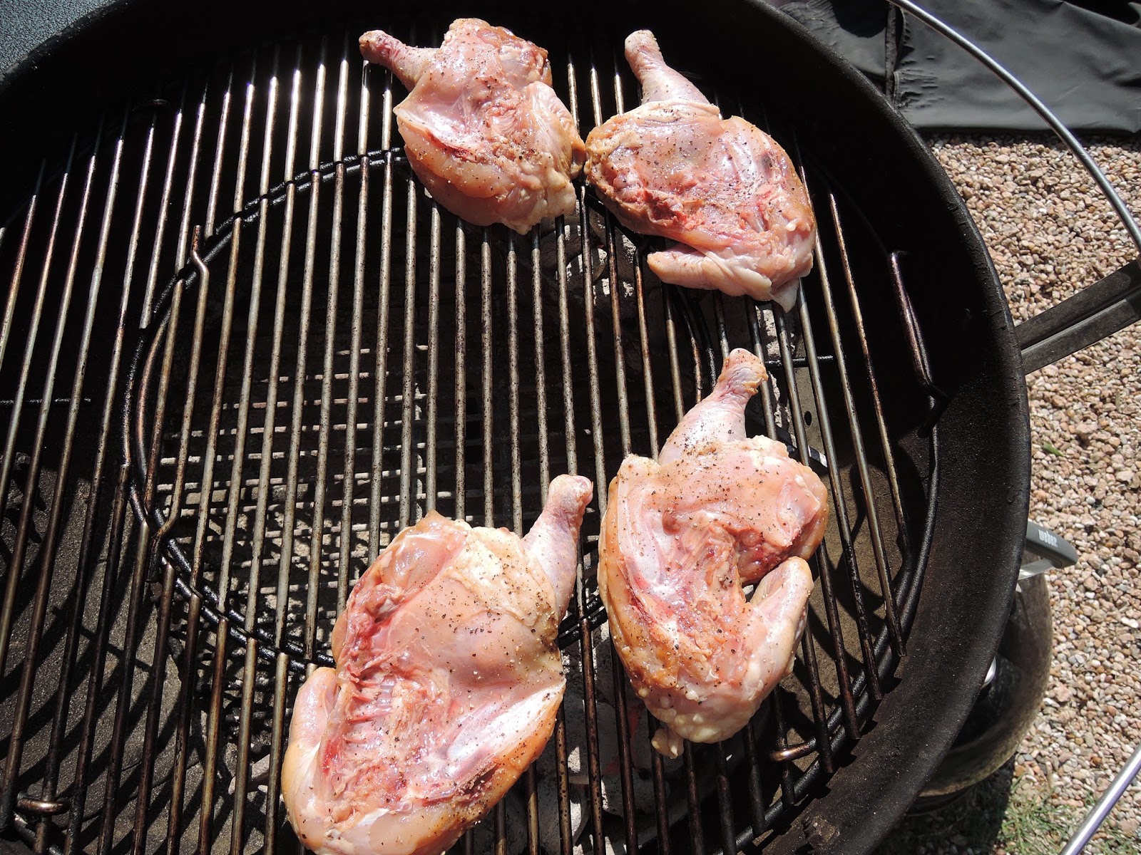 The Briny Lemon: Char-Grilled Game Hens with Mustard-Molasses Marinade