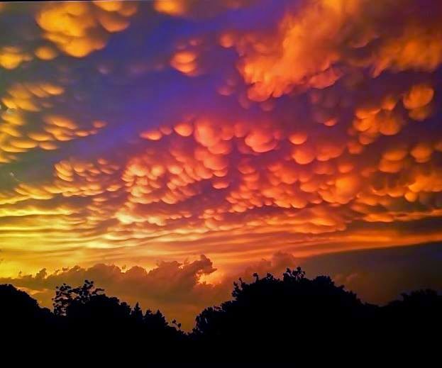 Mossel Bay Weather Observation, South Africa : You’ve got to see these ...