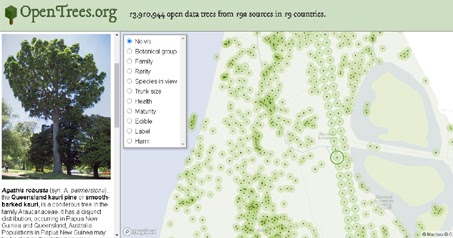 Maps Mania: Mapping the World's Trees