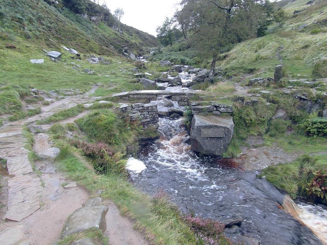 Dannysbirds: Bronte Bridge & Waterfall