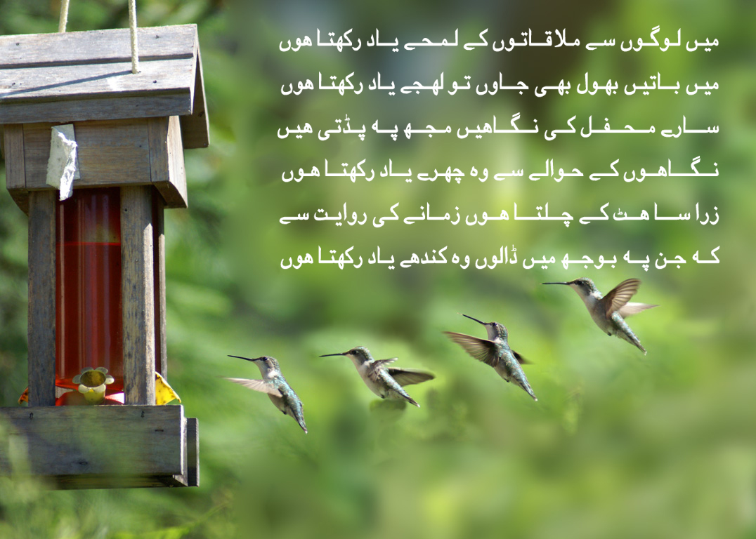 Ahmad Faraz Lamhy Yaad Rakhta Hoon My Urdu Sher o Shayari ahmad-faraz-lamhy-yaad-rakhta-hoon-my-urdu-sher-o-shayari
