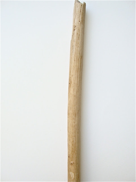 a year in charlie's pocket: long stick