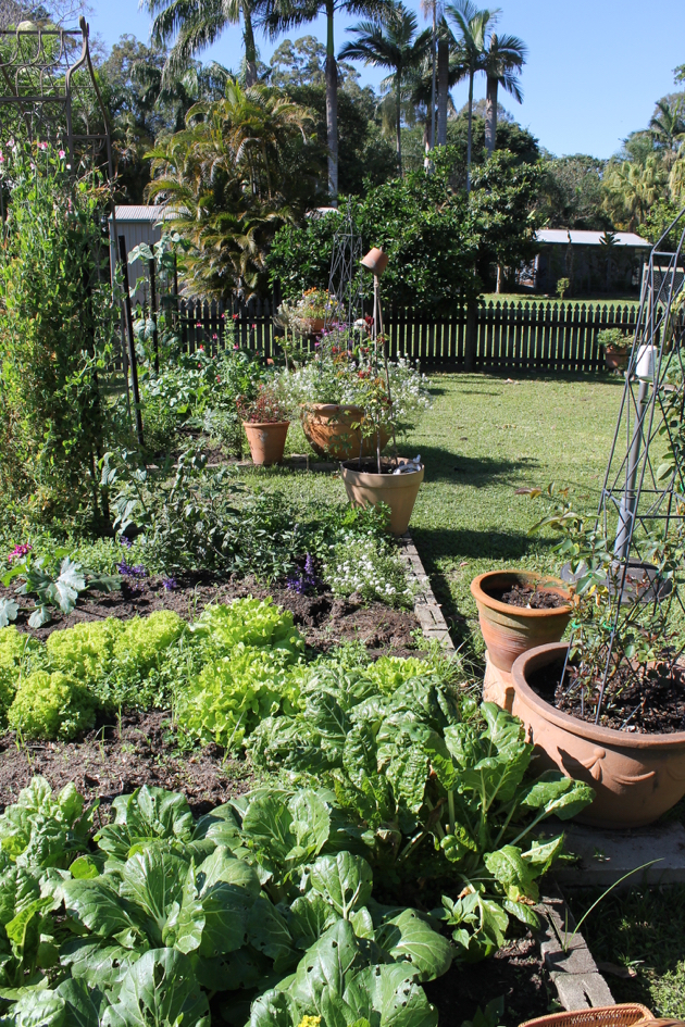 A simple life | down to earth