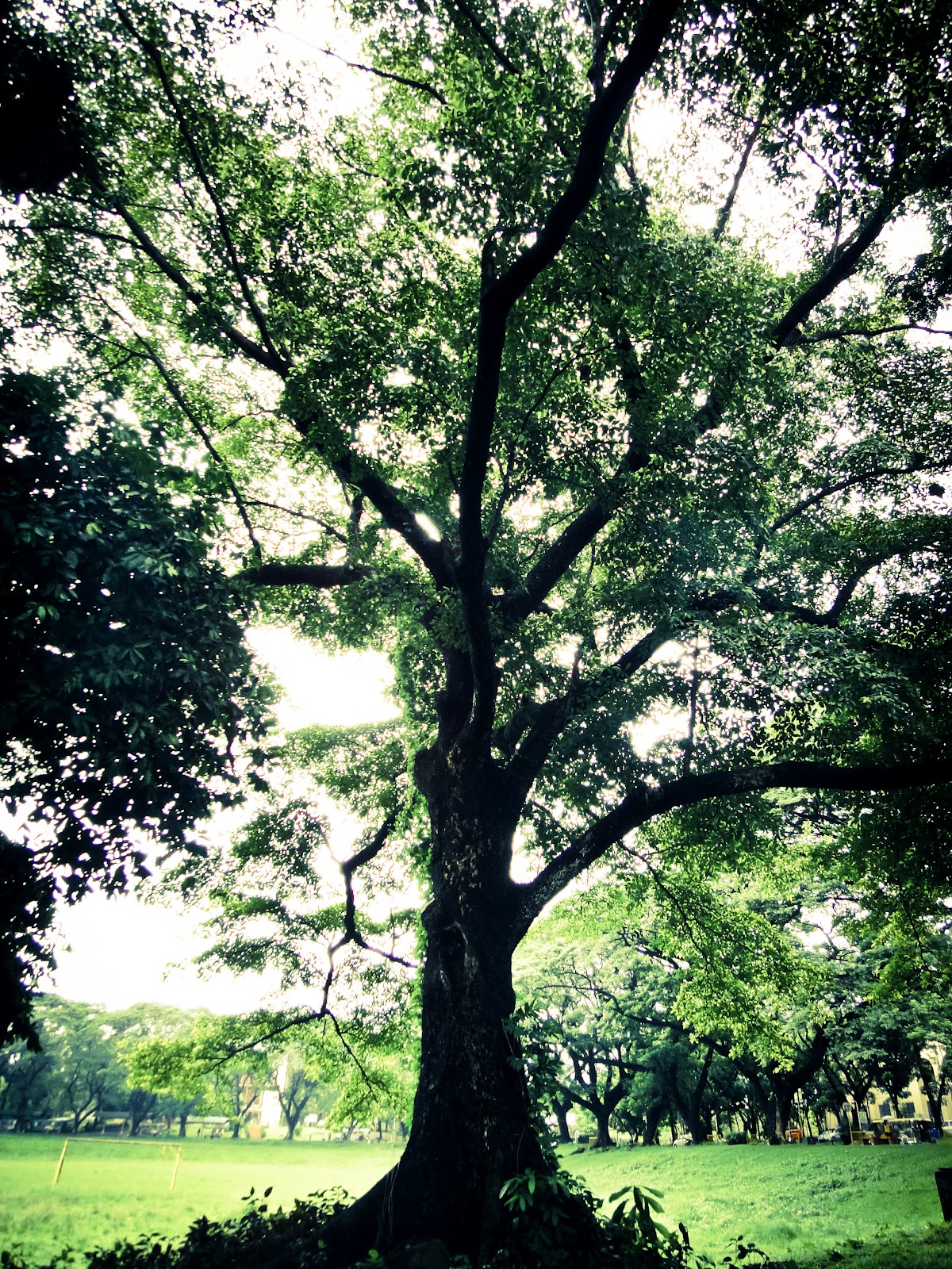 Tita Arlet: Kalumpit: Don't pop that cherry