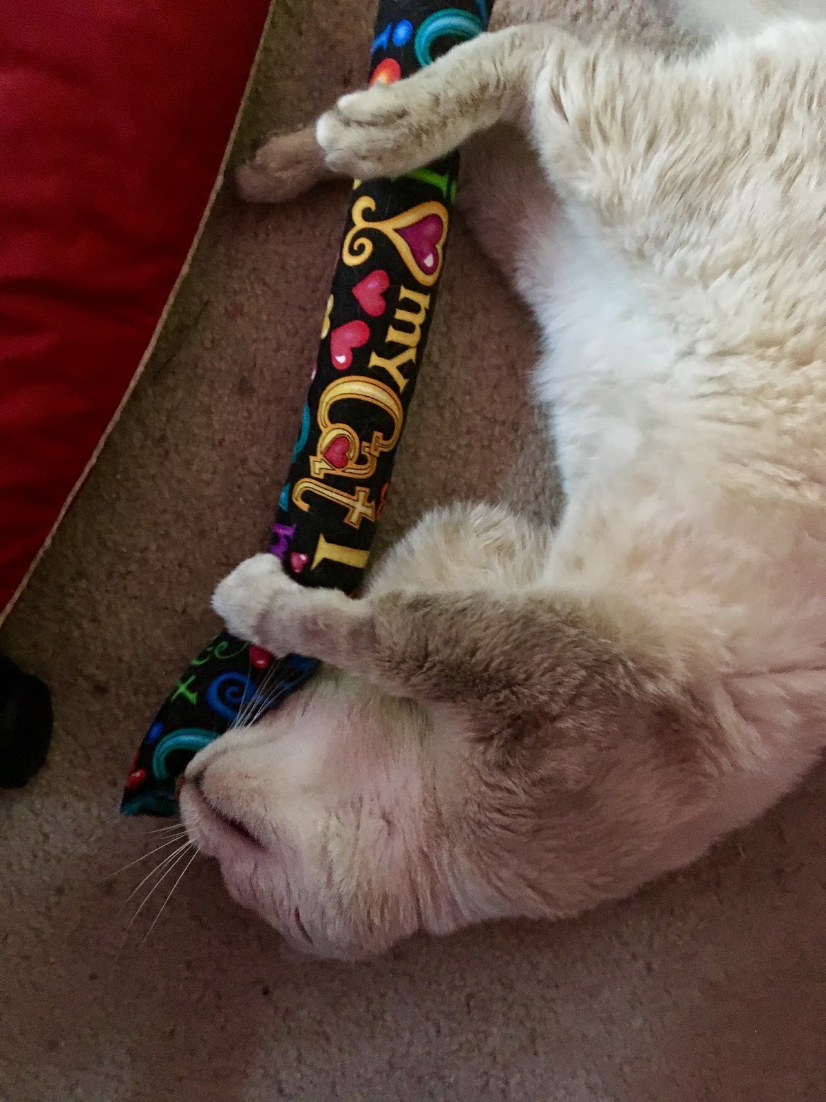 Kitty Kick Stix Catnip Kicker Toy - Review and Giveaway!