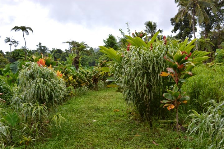 World Adventures: Day 64 Apia, Samoa (Part 1 of 3)