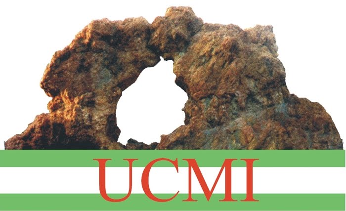 UCMI: BOLETIN INFORMATIVO: Motivos, hechos y razones.