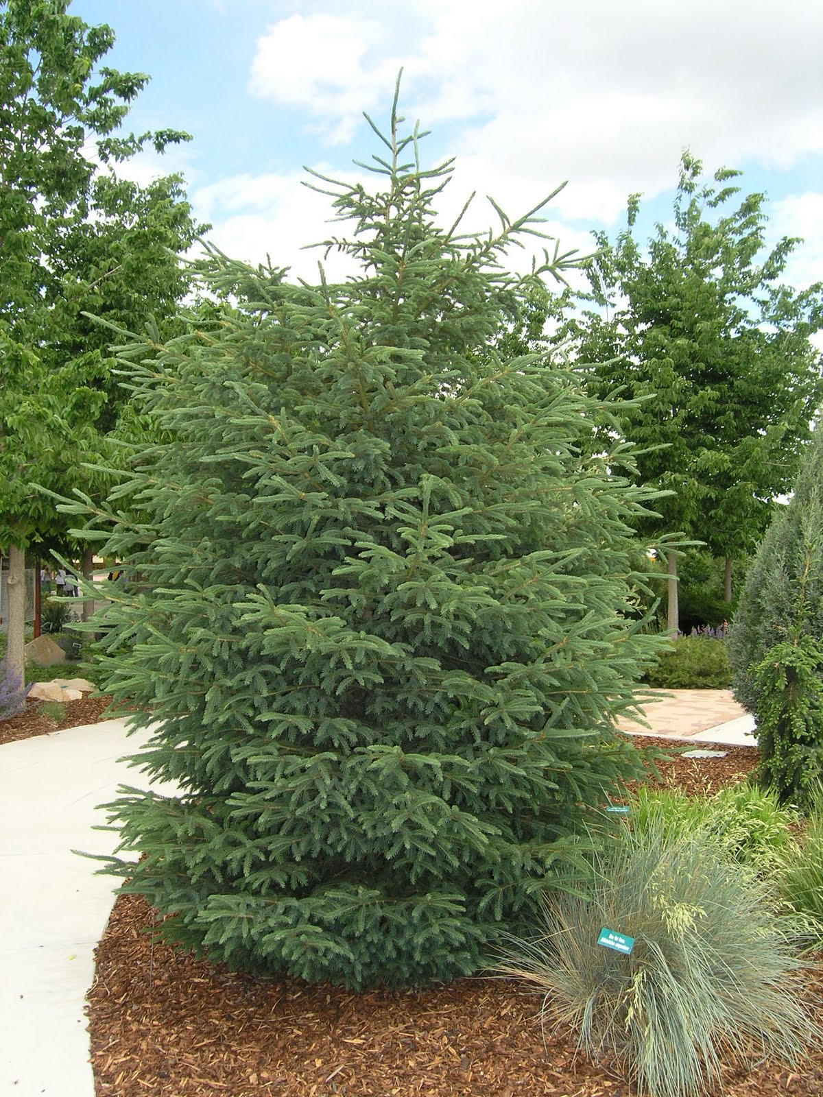 Legends Landscaping Boise