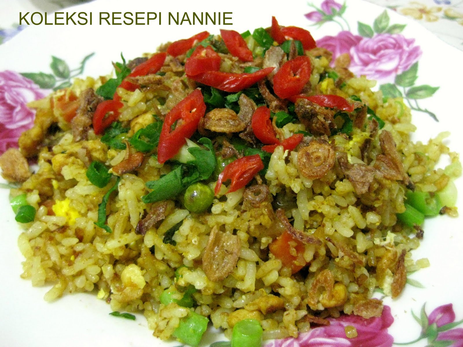 Resipi Nasi Goreng Planta
