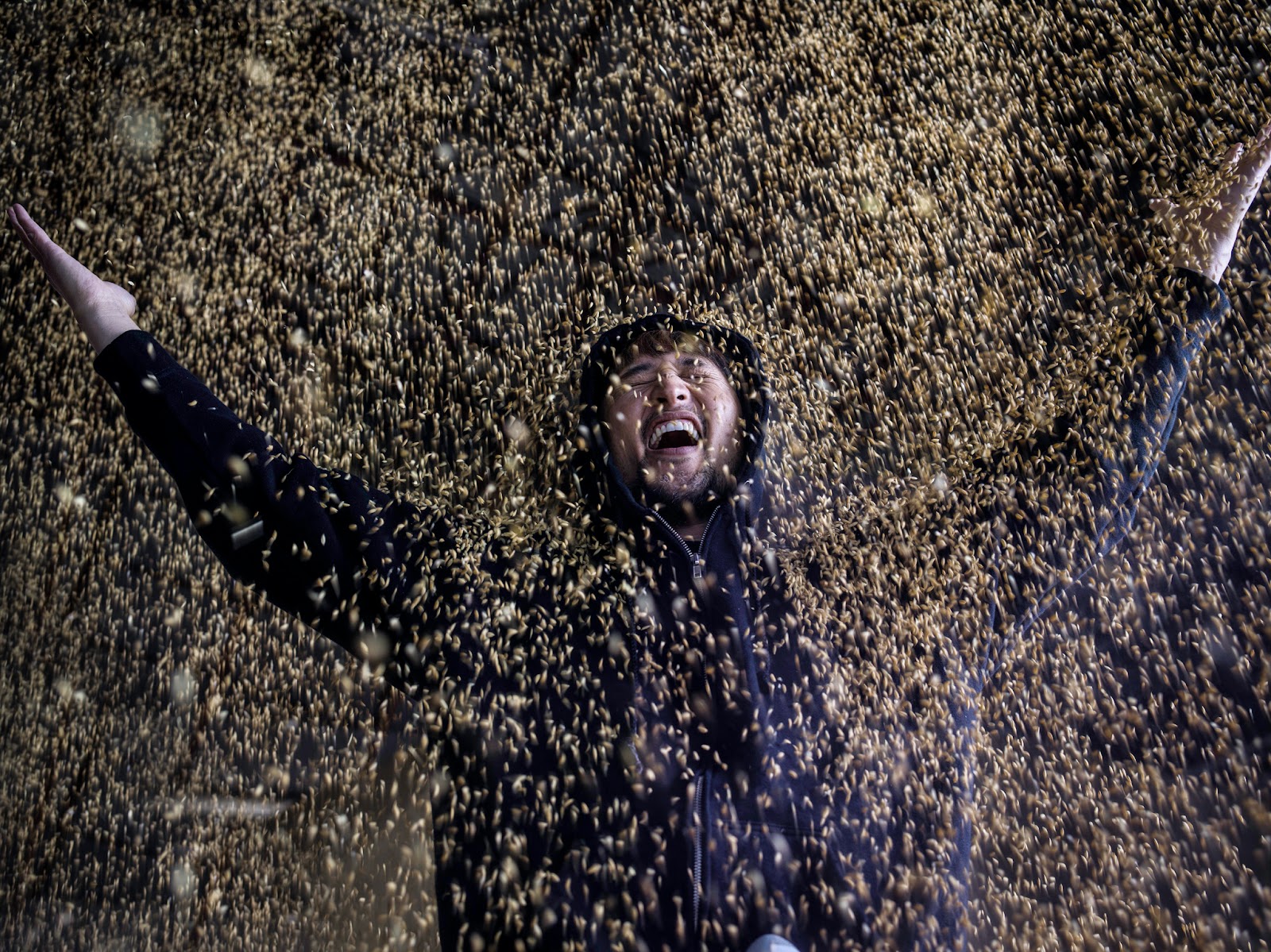 The Lord of Rice: The making of the amazing portrait of the Chef Taro ...