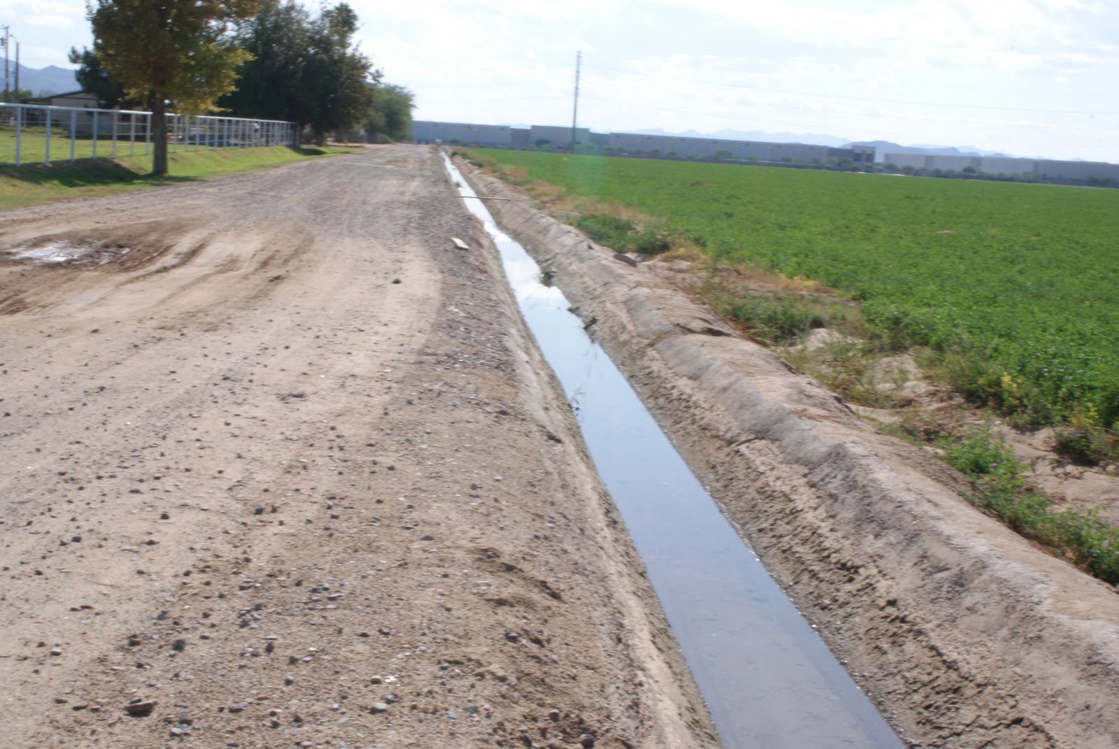 Day By Day: Water in the Desert