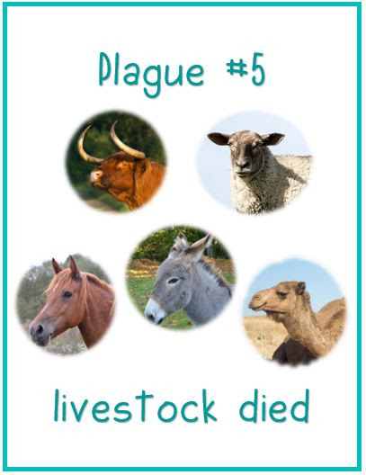 VBS: Moses & the 10 Plagues Plain Posters | Bible Fun For Kids