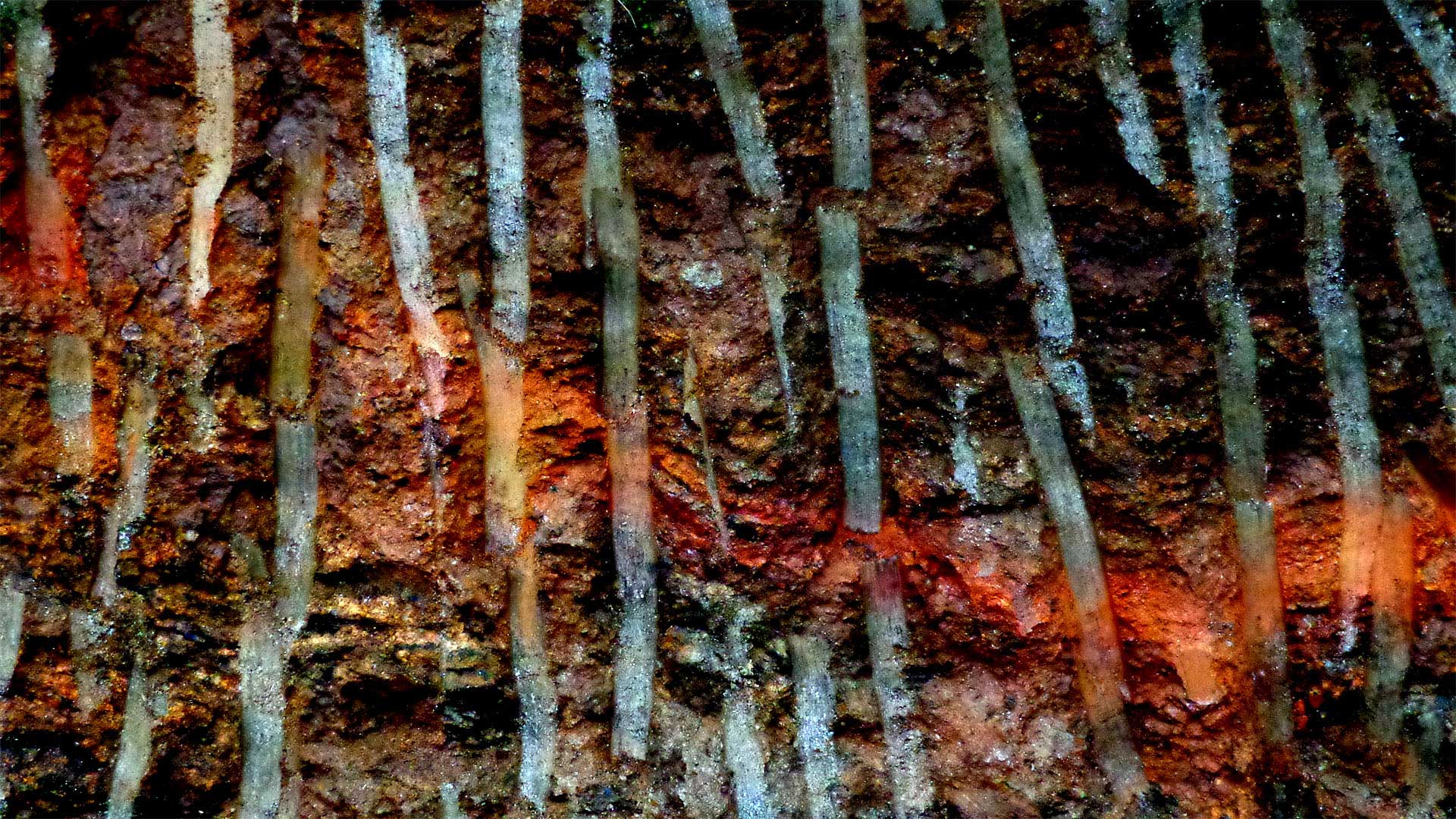 Labour | Nepali Walls