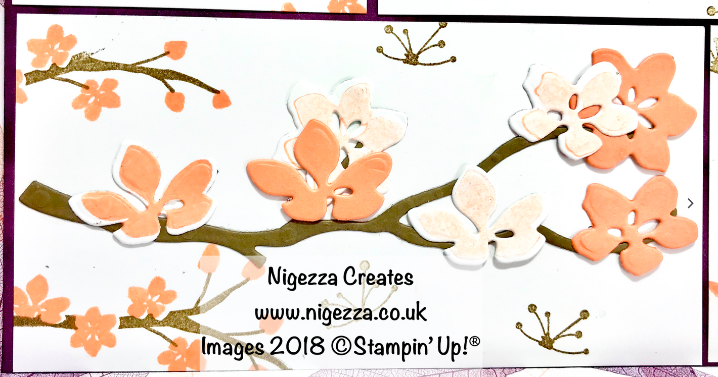 Nigezza Creates: Shadow Box Frame Sampler Using Stampin' Up!® Natures ...