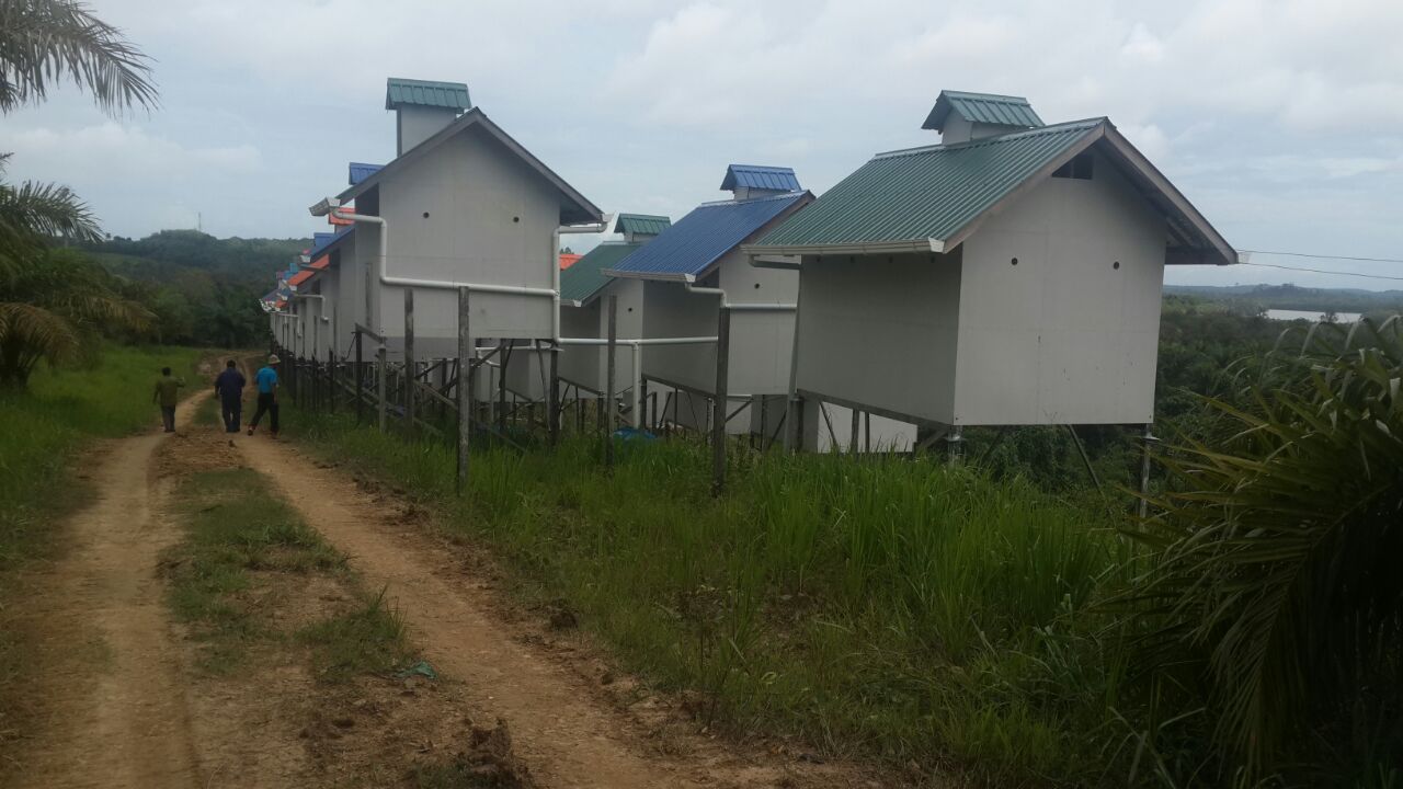 Swiftlet Farming : Swiftlets Farming Equipments, Edible Birds Nest and ...