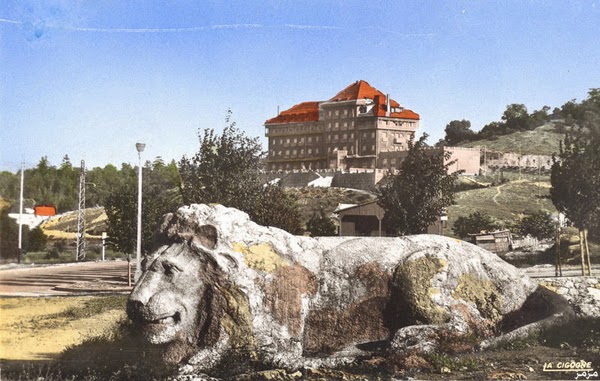 For fans of the travel and tourism