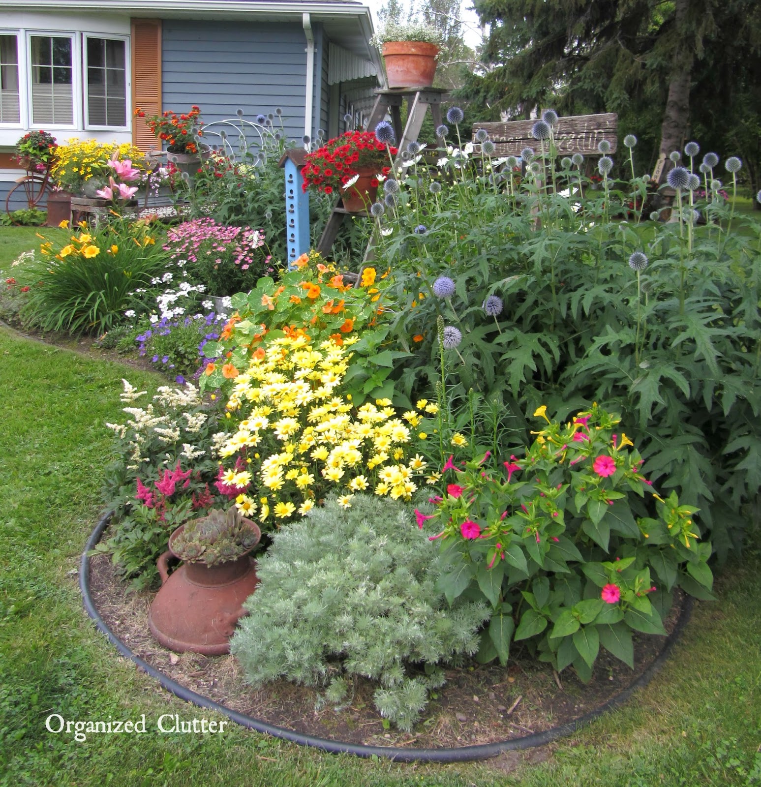 Flower Garden Front Yard