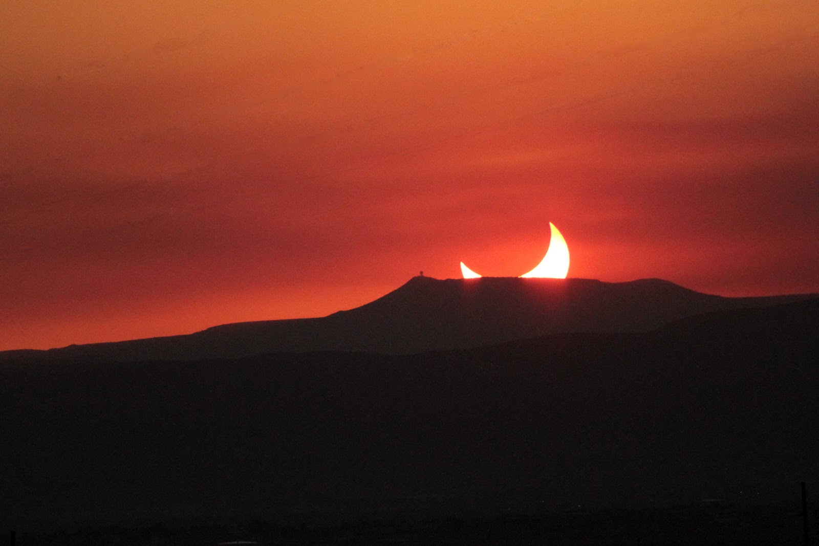 Views from Soledad Canyon: A Roadrunner, Two Amorous Lizards, and a ...