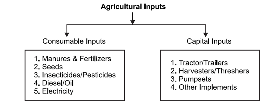 Agricultural Enthusiast and Economist