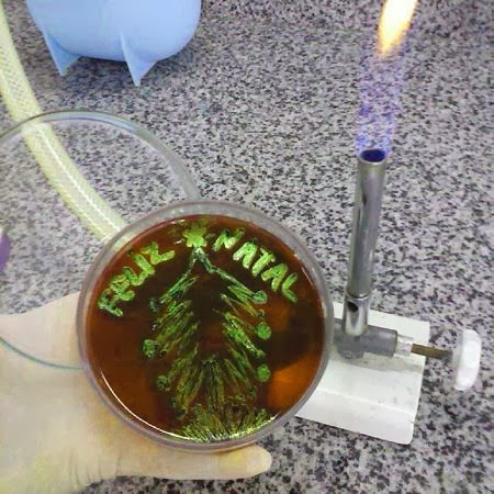 Medical Laboratory and Biomedical Science: Merry Christmas from Brazil