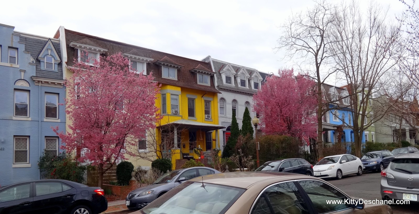 Free and Frugal Things to Do in Washington DC