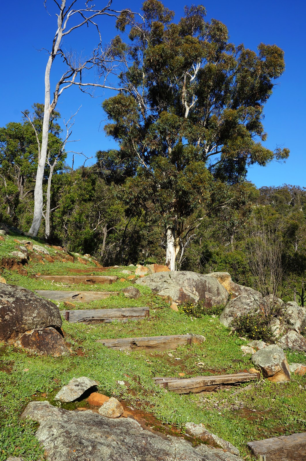 Numbat Track (Paruna Wildlife Sanctuary) ~ The Long Way's Better