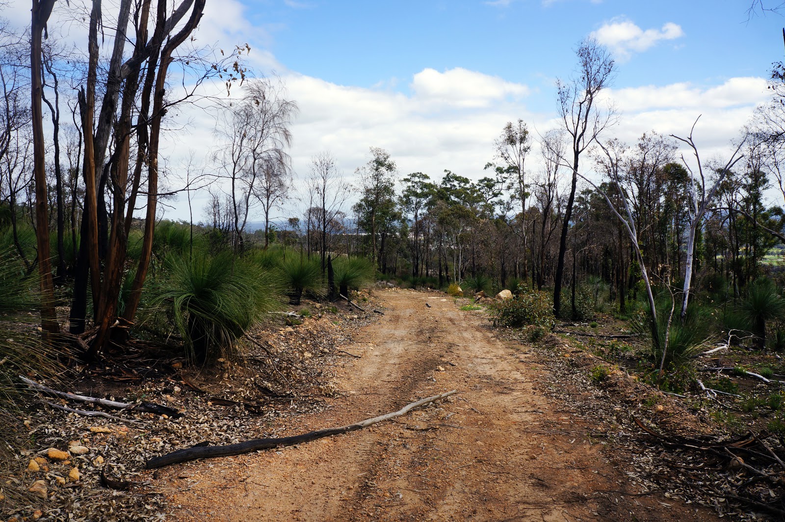 Wungong Gorge Walk GPS Route (Wungong Regional Park) ~ The Long Way's ...