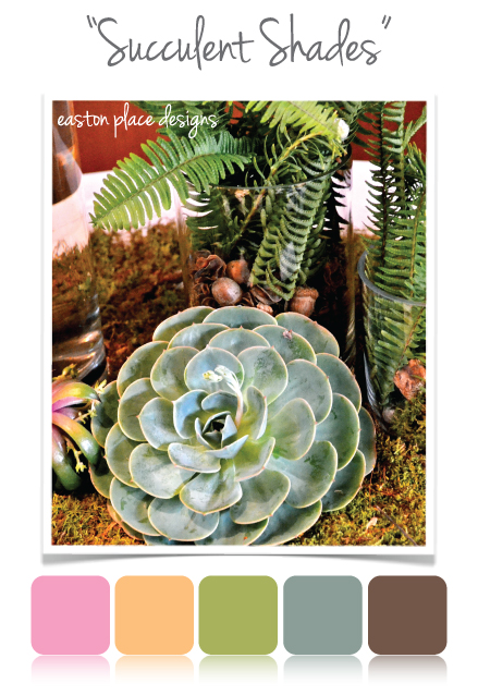 Easton Place Designs Blog: Color Palette: Succulent Shades