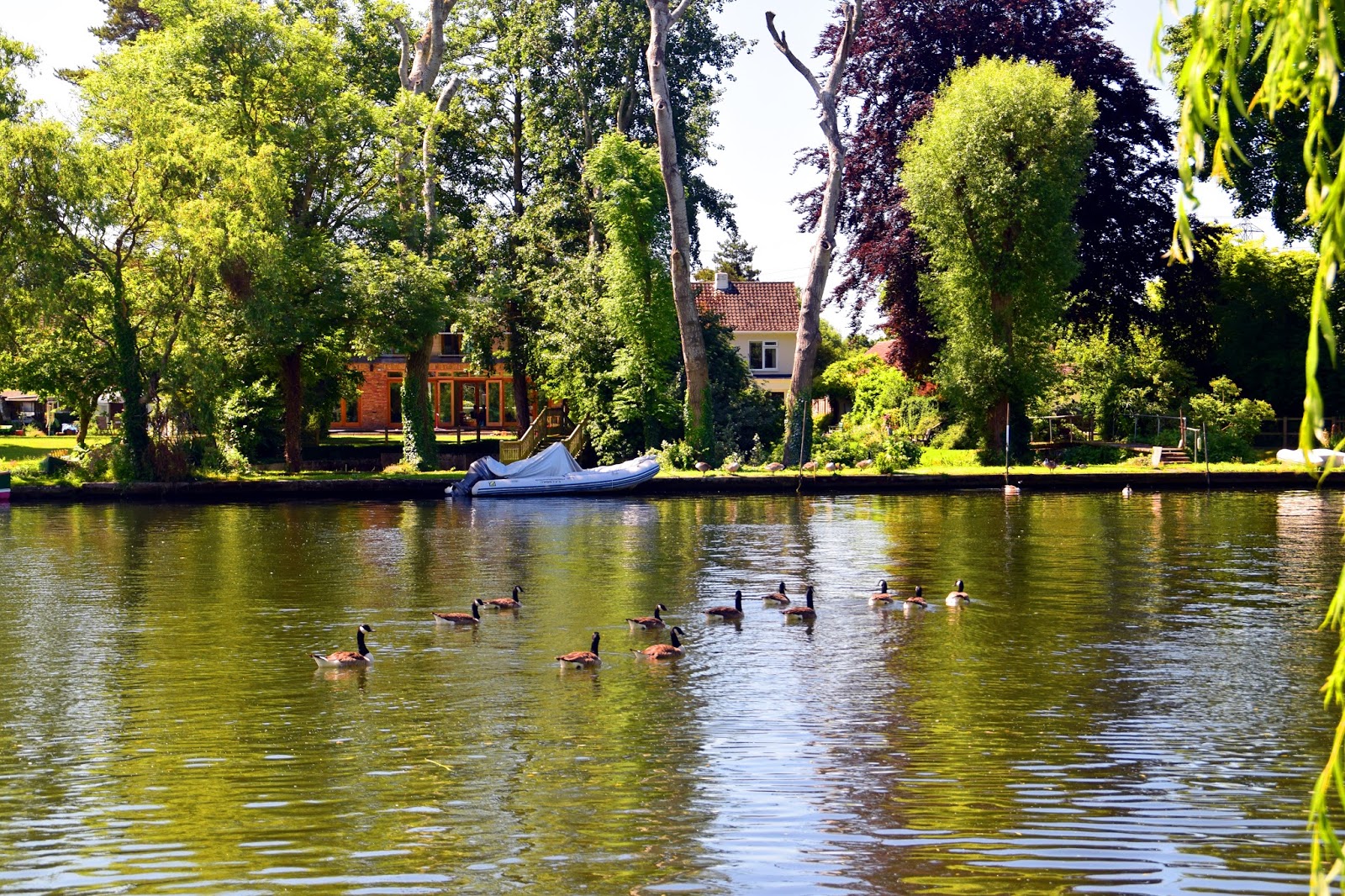 Enjoy your time with beautiful places: Towards to Shepperton Lock on ...