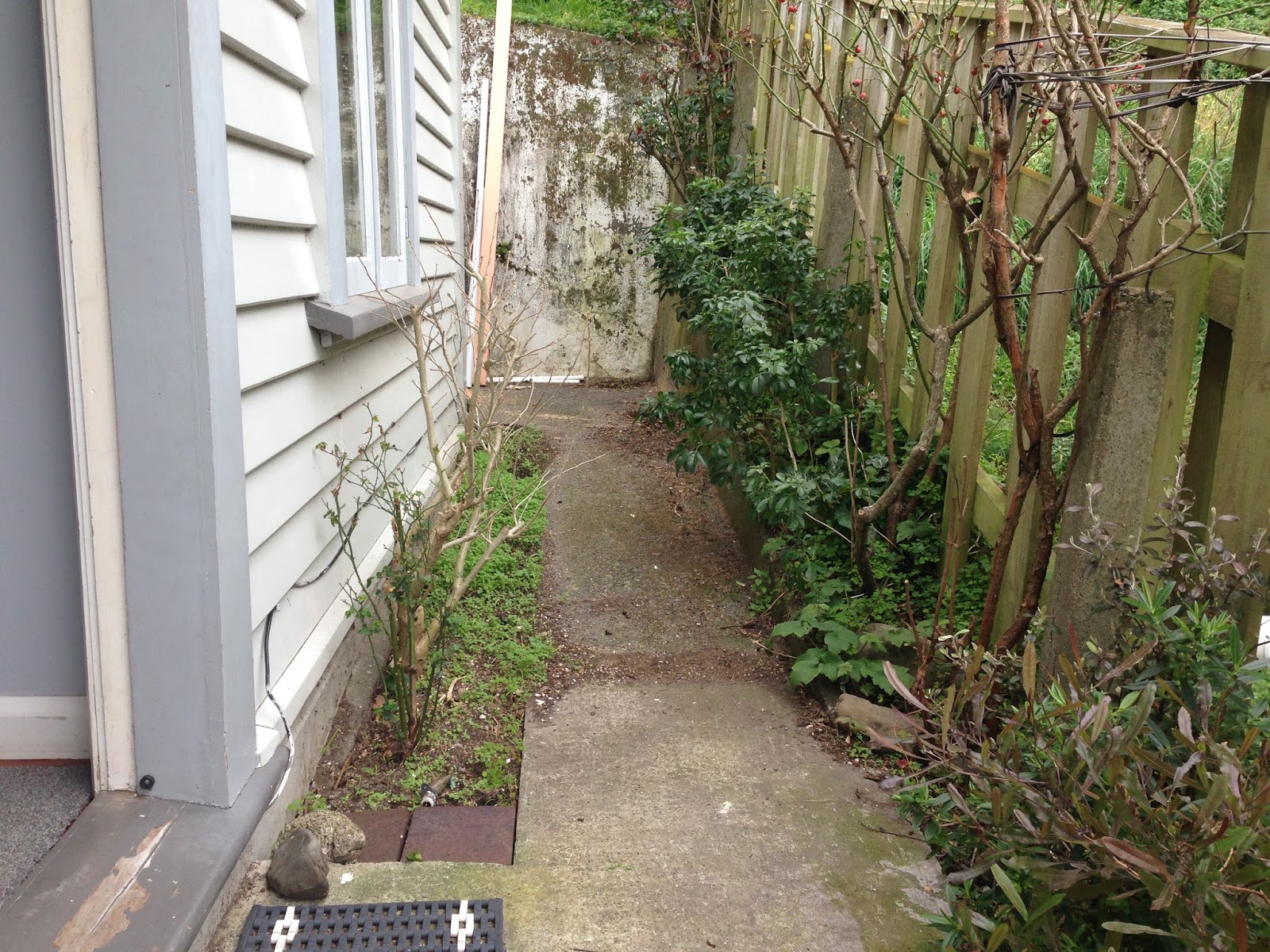 Mrs Cake: DIY - a finished side gate