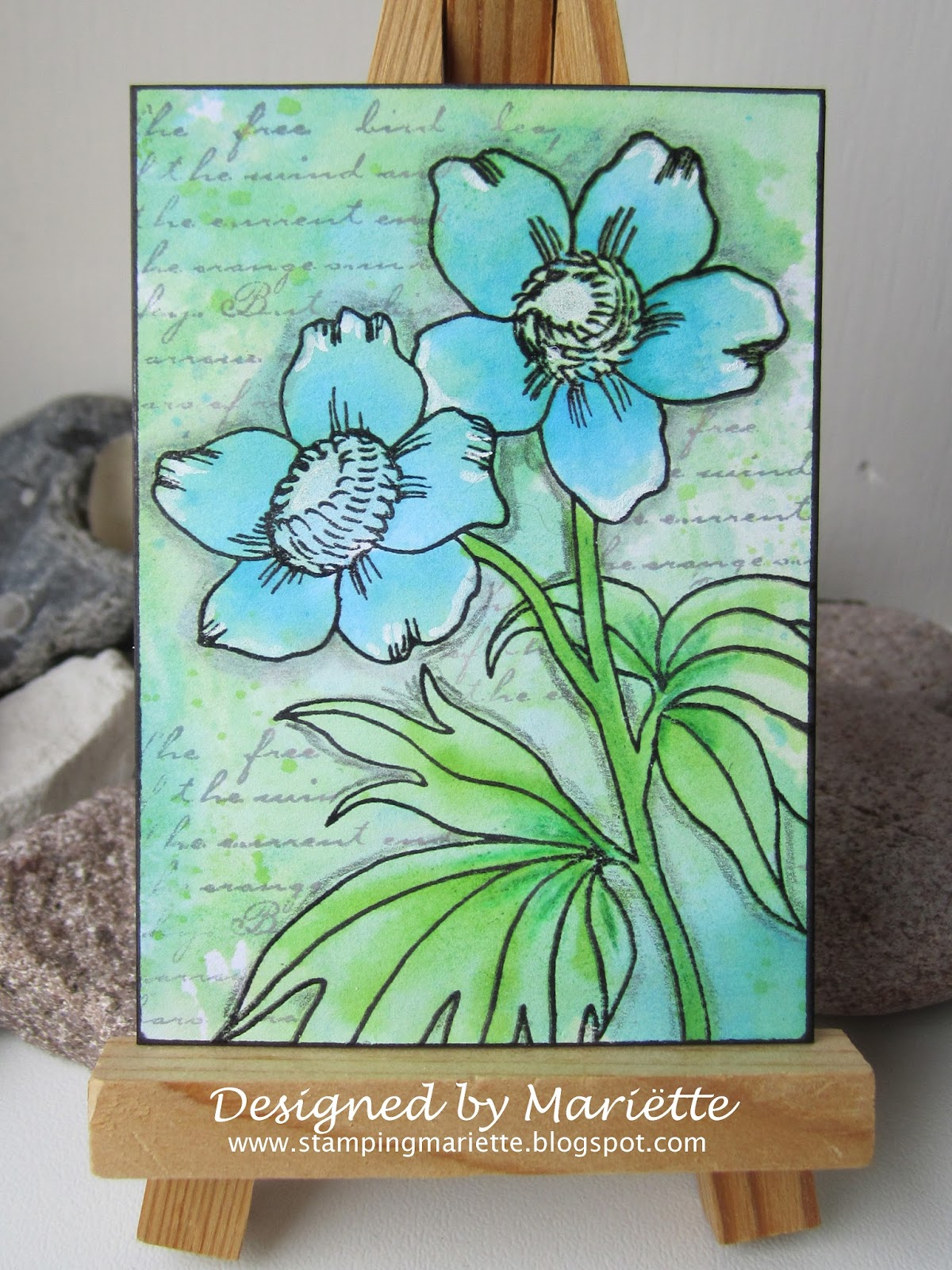 Magenta: ATC Flower duo - ATC duo de fleurs