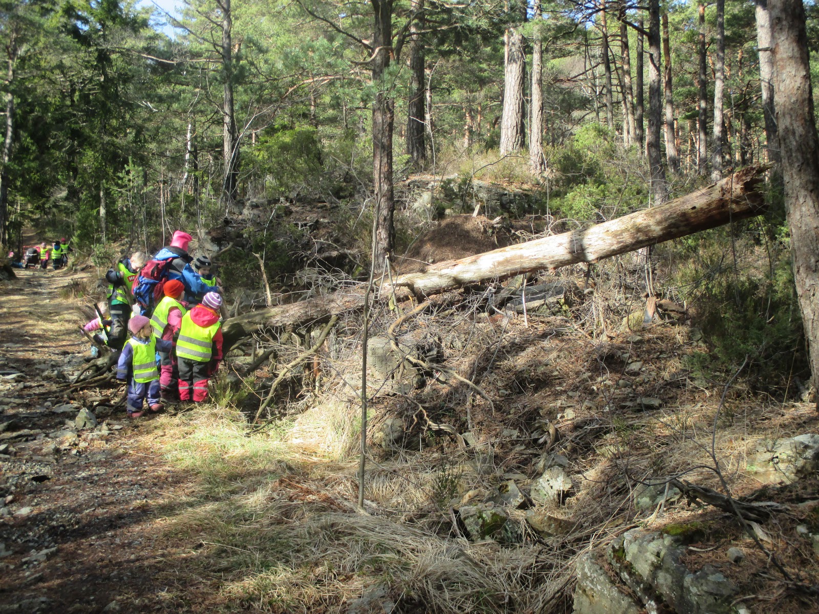 Grasmyr naturbarnehage: PLIPP OG PLOPP!