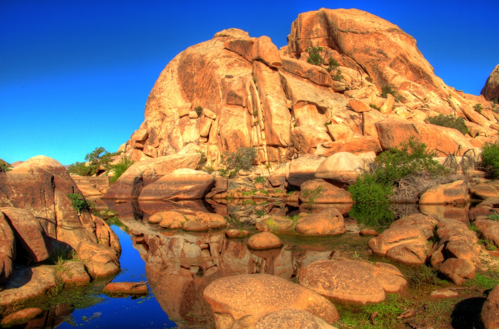 UNIQUELY JOSHUA TREE: Barker Dam Nature Trail 1.3 miles
