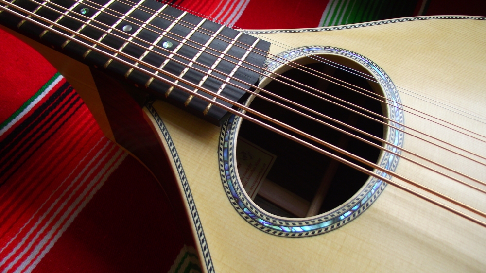 A Luthier's Blog: 10 String Mandocello