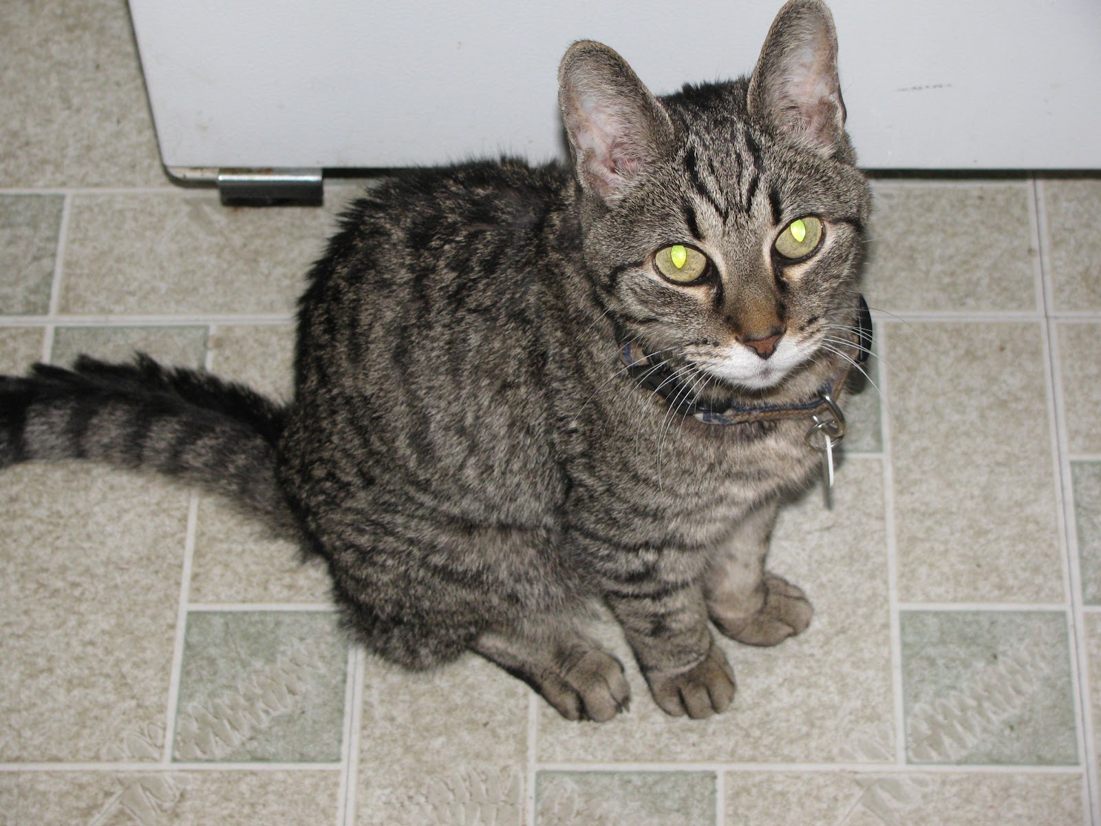 Pookon's Ill Blog: Coach Gordon Bombay