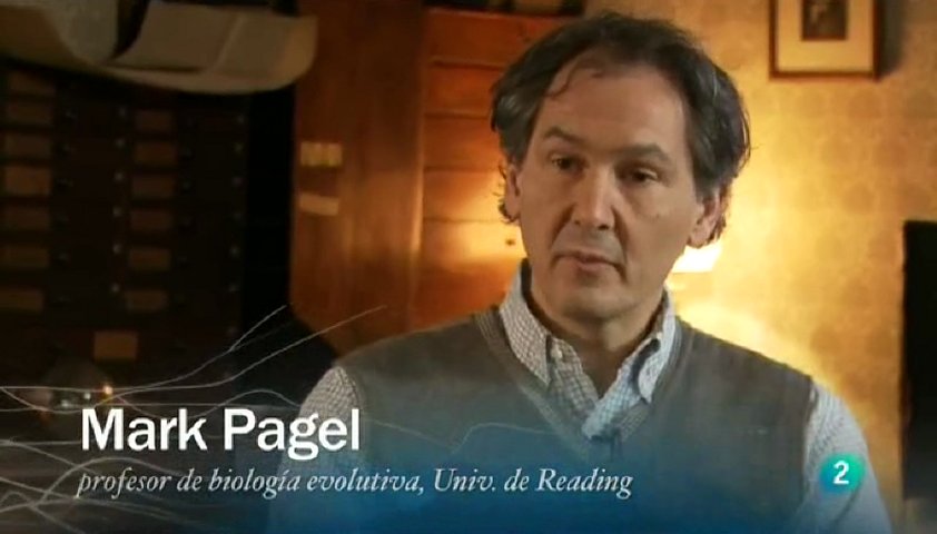 Ciencias Cognoscitivas de Costa Rica: El misterio de los misterios: Los ...