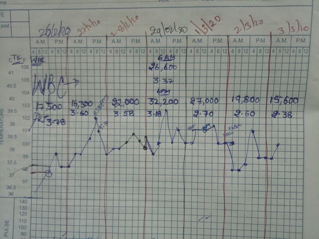 classwork: Fever Charts (part 1) - extracting data from fever charts and making digital graphs