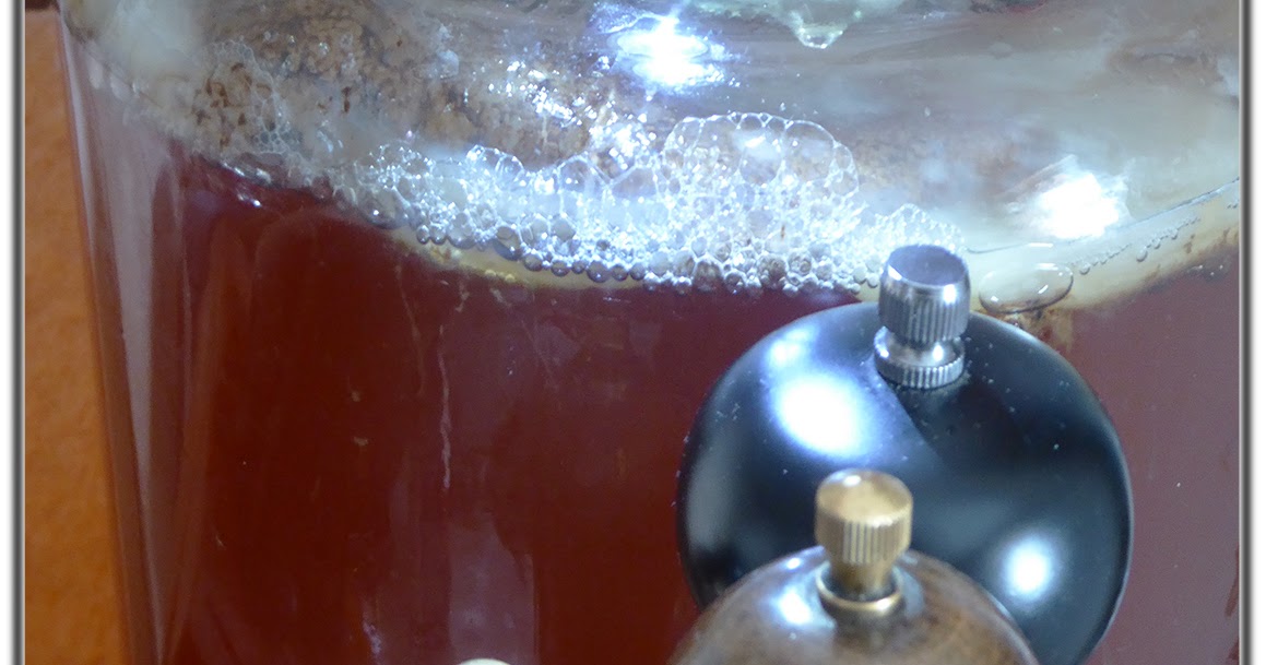 Gör egen kombucha! Scoby svamp till salu, skickas med vanlig post på 1 ...