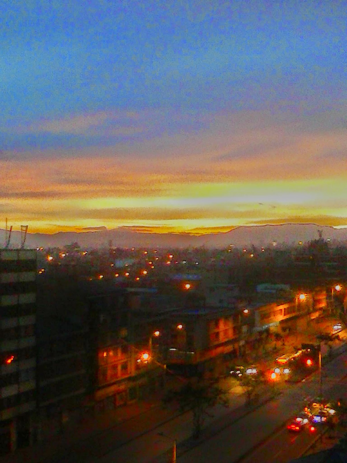 🌺🌸🌷Flowered ocobos 🌺🌸🌷