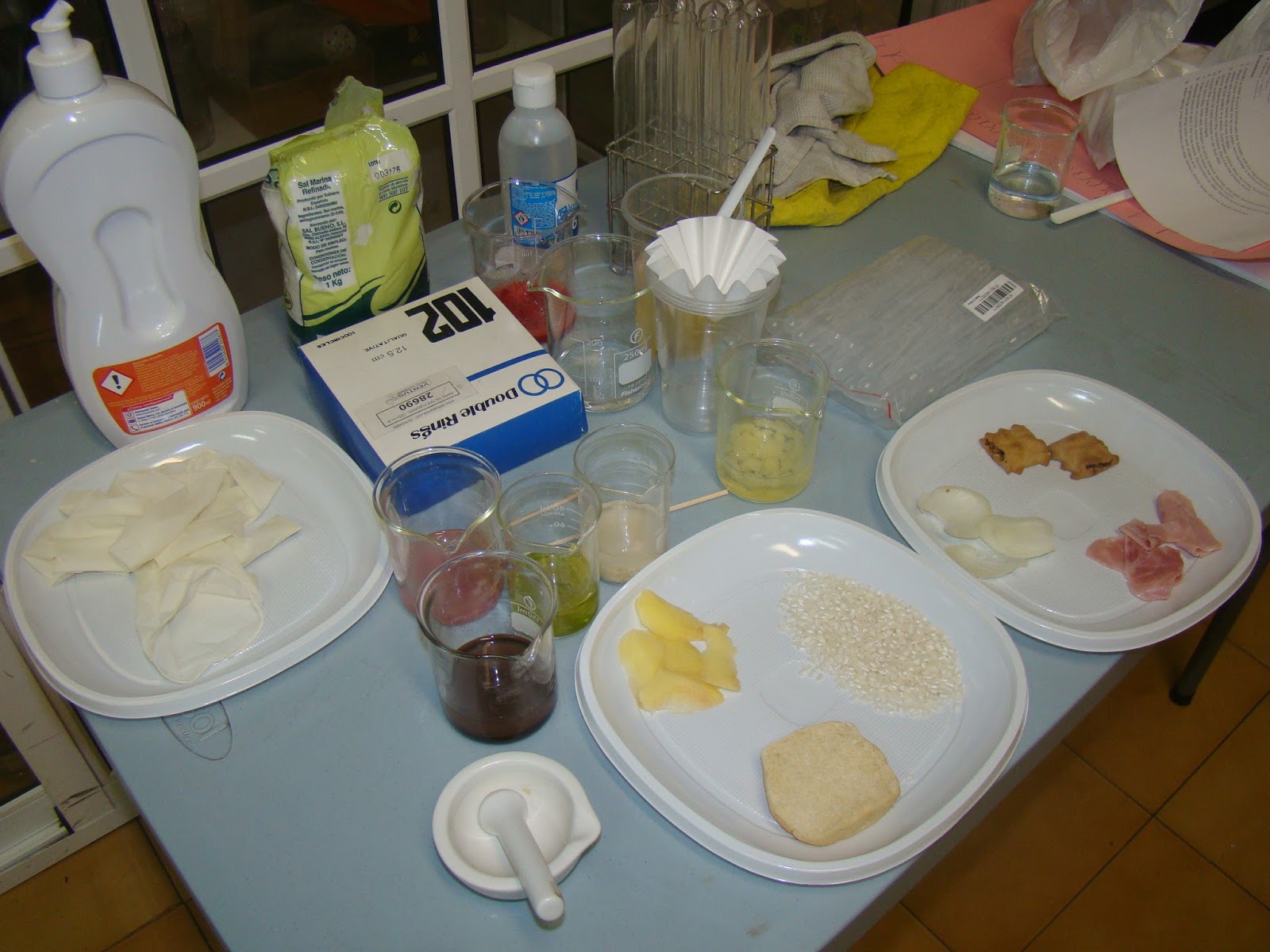 Science Magazine: TESTING FOODS FOR STARCH AND LIPIDS BY MARIA CORDERO