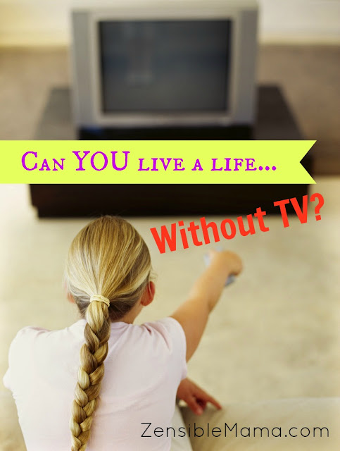 Zensible Mama: Can You Live A Life Without TV?