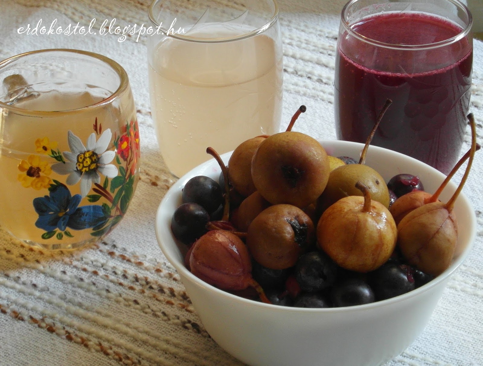 Fermentált vadgyümölcs-italok és vadgyümölcs-savanyúság készítése őszi ...