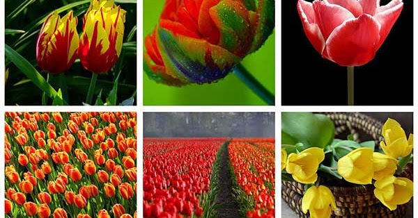PhotoEffect How To Make A Grid Collage In Photoshop PhotoEffect How To Make A Grid Collage In Photoshop