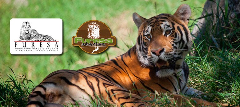 Plan Viajeros: FURESA impulso como desarrollo turístico en jayaque